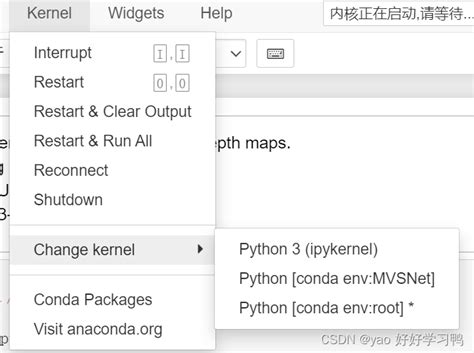 头疼jupyter Notebook老是出问题远程连接jupyter Notebook网速很慢怎么办 Csdn博客