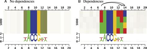 Dependency Logos Reveal Dependencies Between Binding Site Positions