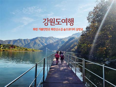 강원도 여행 화천 가볼만한곳 화천 산소길 숲으로 다리 살랑교