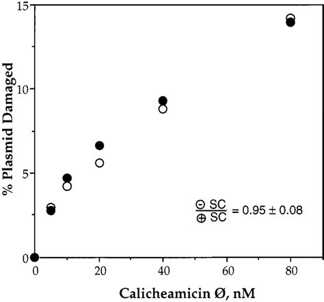Calicheamicin Ø Is Not Affected By Dna Supercoiling Samples Of Download Scientific Diagram