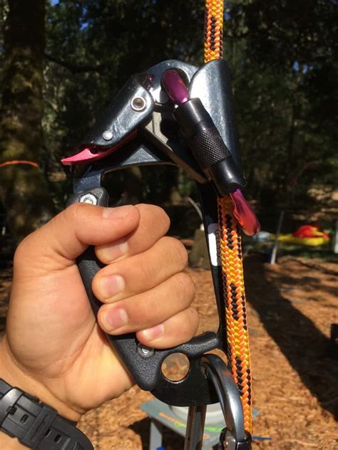 Using Ascenders To Climb Tree How To Climb A Tree Using Aiders Bzib