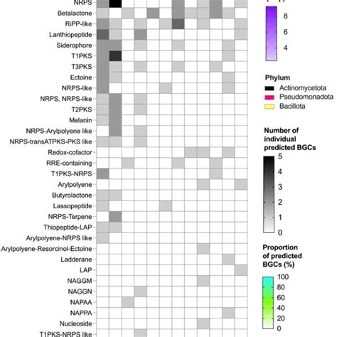 Predicted Biosynthetic Gene Clusters Bgcs From Sponge Associated Download Scientific Diagram