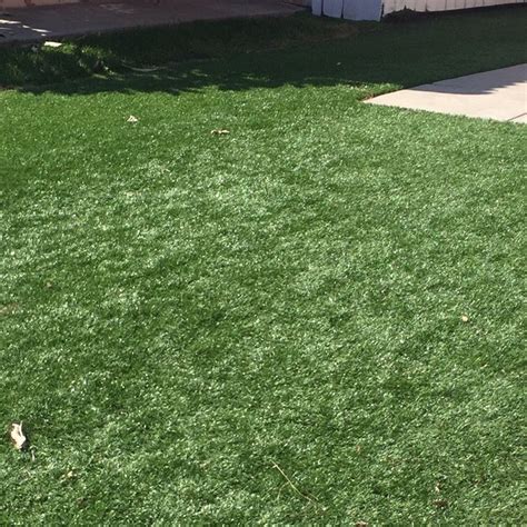 Best Artificial Grass Updated Jan 2024 Mygardenzone