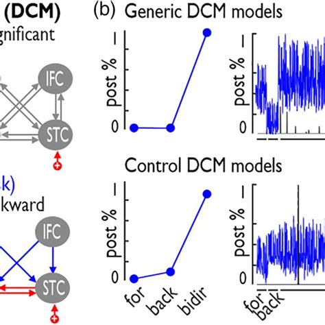Dynamic Causal Modeling Dcm Of Brain Activity During Task‐based Download Scientific Diagram