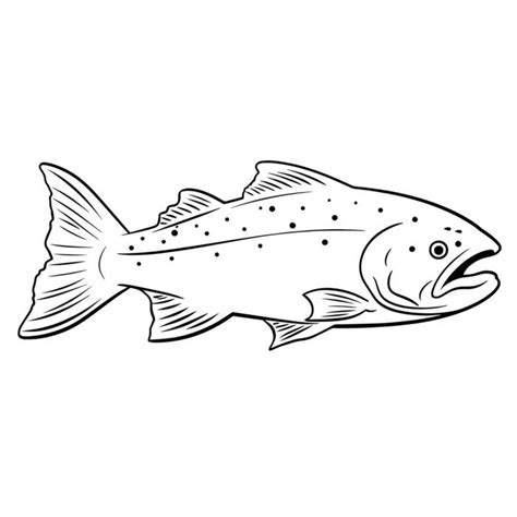 Trout Outline Vector Art Icons And Graphics For Free Download