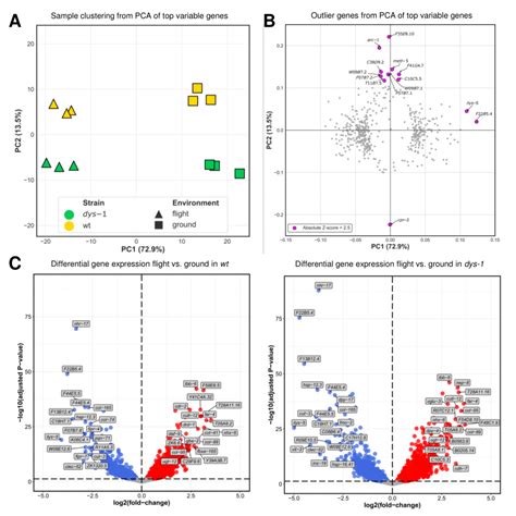 global trends in spaceflight gene expression a pca clustering of download scientific diagram