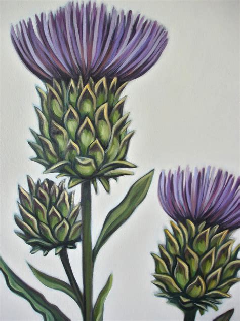 Pin By Susanne Mason On Botanical Art Thistles Art Scottish Thistle