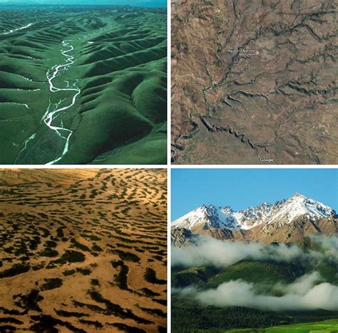 Spatial Patterns That Reflect A Coevolving Landscape From Top Left