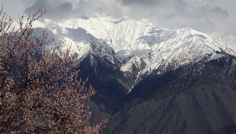 Chitral Gol National Park All You Should Know Before You Go 2026 W