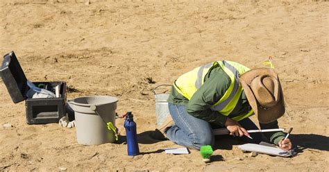 The Oldest Reptile Skin Fossil Gives Insight Into The Amphibious Lifestyle During The Paleozoic Era