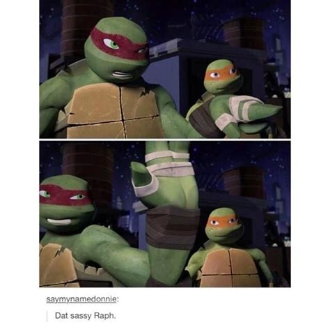 Dat Sass So Sassy Yet Classy Teenage Ninja Turtles Tmnt Turtles