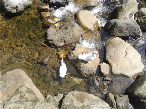 臨安不僅僅是只有山核桃的地方，杭州人去避暑方便又實惠。 每日頭條