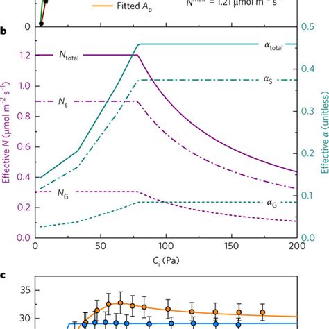 Structure And Function Of Rubisco A Schematic Depiction Of