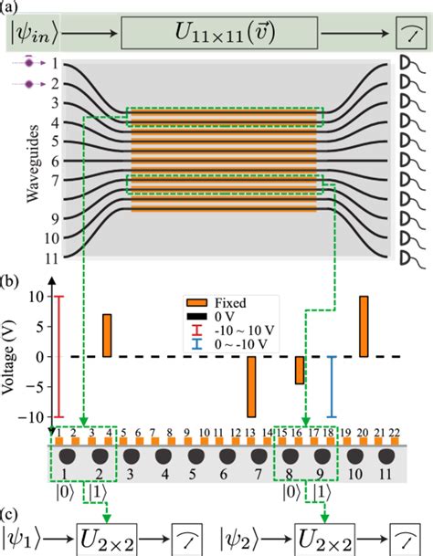 programmable quantum circuits in a large scale photonic waveguide array