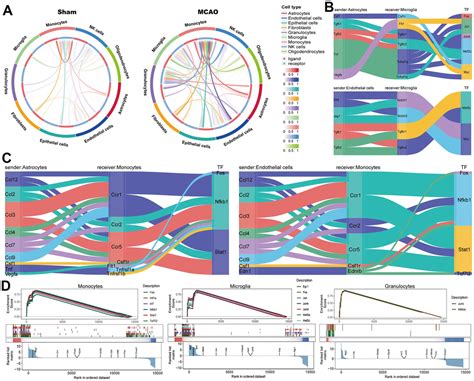 Integrative Analysis Of Single Cell And Bulk RNA Sequencing Unveils The