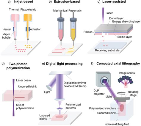 Schematic Illustrations Of Common 3d Bioprinting Strategies A Download Scientific Diagram
