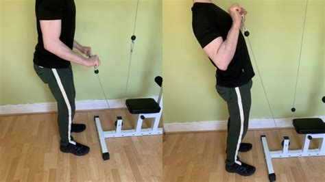 Reverse Cable Curl Tutorial And Mistakes To Avoid