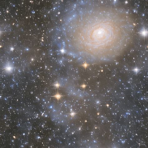 Galaxies Fibonacci White Pattern · Creative Fabrica