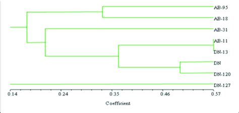 Clustering Analysis Using Upgma Method For Bacterial Genotypic