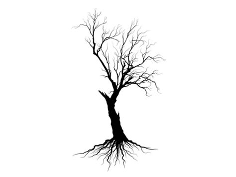 Black Branch Tree Naked Trees Silhouettes Hand Drawn Isolated Illustrations Stock Vector By
