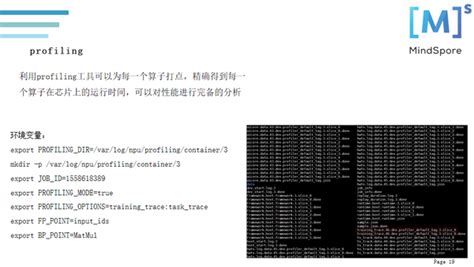 整图下沉MindSpore图引擎详解 知乎