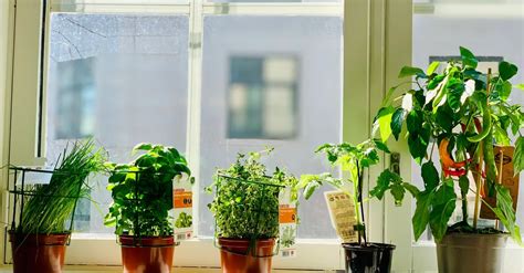 Persisting Your React State In 9 Lines