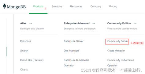 Mongodbmongo 数据库下载 Csdn博客