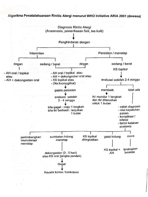 Algoritma Penatalaksanaan Rhinitis Alergi Pdf