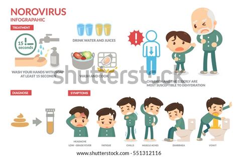 Norovirus Infographic Flat Design Vector Stock Vector Royalty Free