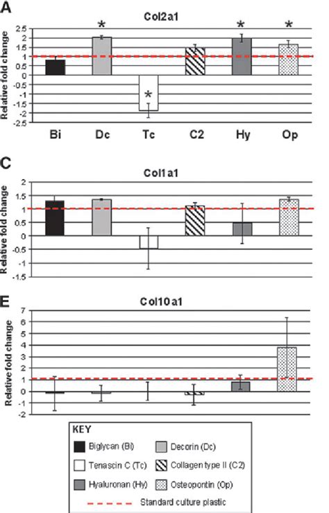 Figure 1 From Influence Of Cartilage Extracellular Matrix Molecules On