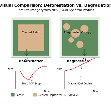 Deforestation Detection From Satellite Imagery Ai Tutorial Next