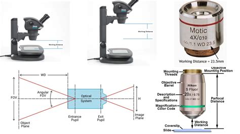Inverted Microscope Principle Procedure Parts Uses Biology Notes Online