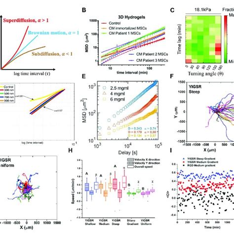 Demonstration Of Models And Metrics Commonly Used To Describe And Download Scientific Diagram