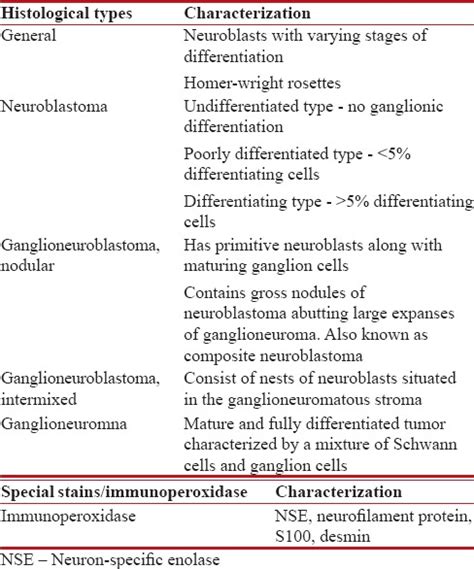 The Arrangement Of The Cells