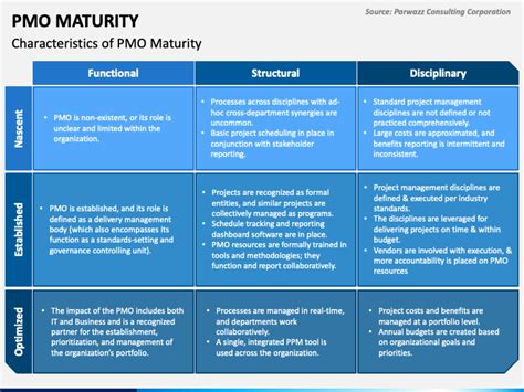 PMO Maturity PowerPoint And Google Slides Template PPT Slides