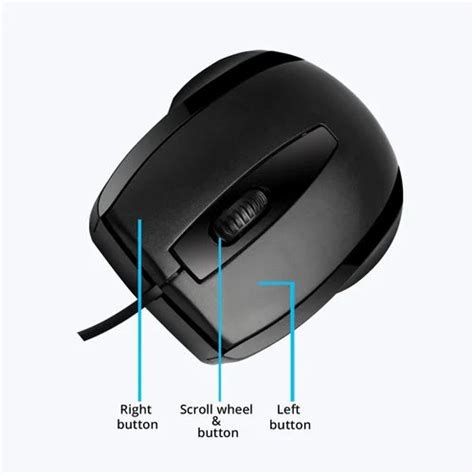 Zebronics Alex Mouse At Rs 229 Piece ज़ेब्रोनिक्स माउस In Patna Id 26765703133