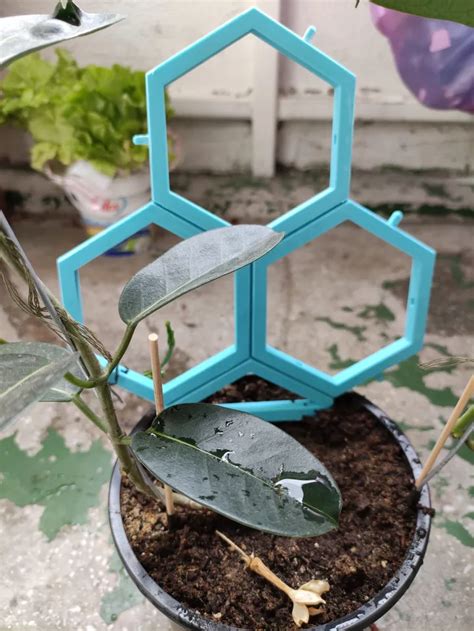 Trellis Support Structure For The Modular Trellis System By 51 Off