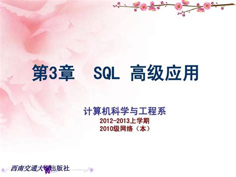 第3章 数据库 sql 高级应用 word文档在线阅读与下载 无忧文档