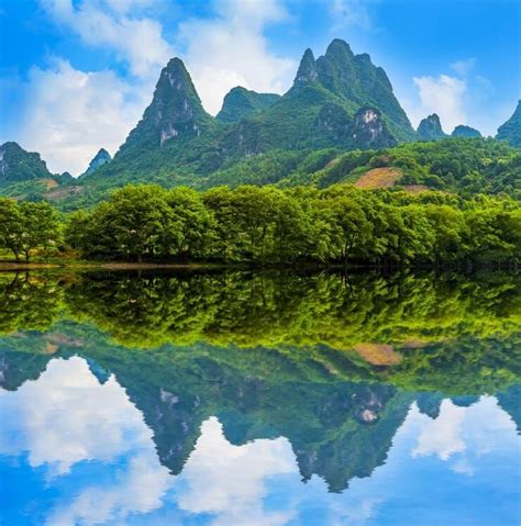 The Mute Father Worked Hard For His Daughter To Go To College Now His