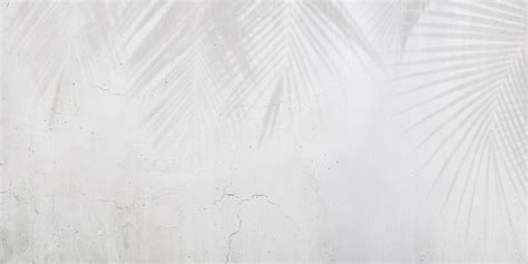 추상적인 배경 벽지 배경 그런지 시멘트 벽 콘크리트 질감을 위해 콘크리트 벽에 코코넛 잎의 그림자가 그림자를 남깁니다 배경 주제에 대한 스톡 사진 및 기타 이미지 Istock
