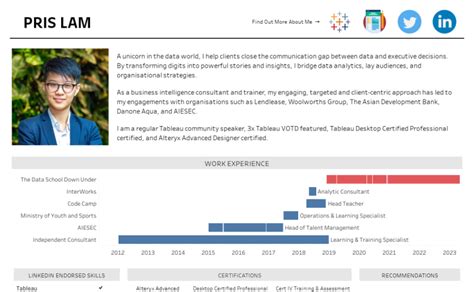 Interactive Resume Gallery Tableau Public