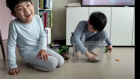 달팽이 집 만들기 3 Youtube