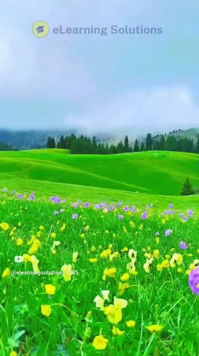 [video] Elearning Solutions Training Institute For Sap Oracle Hana And Digital Marketing On