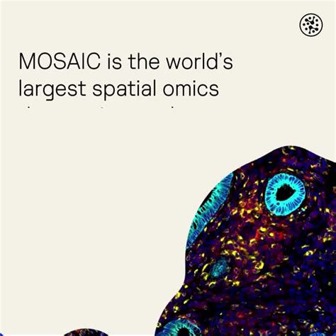 Antonia Trower On Linkedin Join The Spatial Omics Revolution In Healthcare With Owkin Mosaic