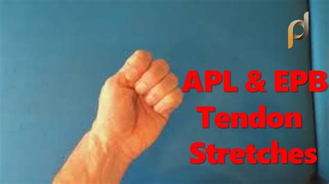 Apl And Epb Thumb Tendons Stretch Youtube