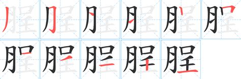 脭字笔画、笔顺、笔划 脭字怎么写