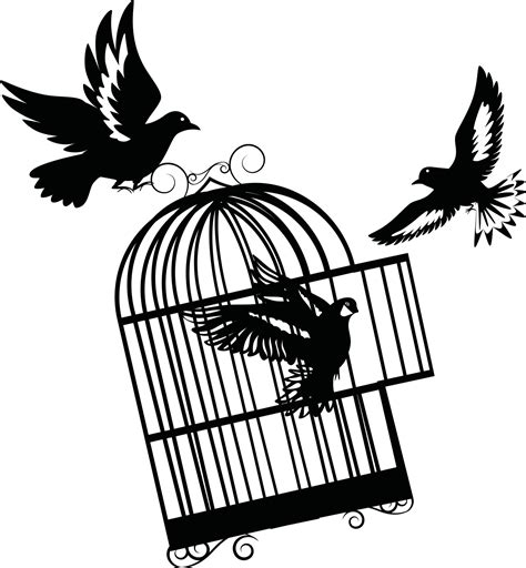 Cage For Birds Free The Birds In Cage Flying Bird And Cage Freedom