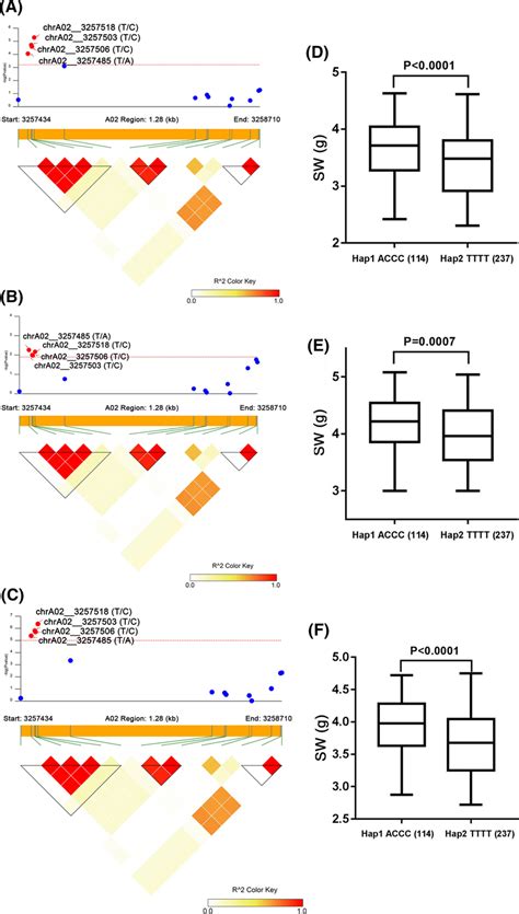 Candidate Gene Association Analysis Of Bnaa02g06870d With Sw A Trial