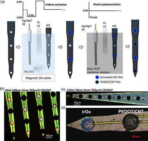 Electrode Modification A Schematic Depicting The Electrode Download Scientific Diagram