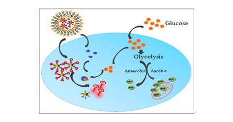 Noninvasive And Highly Selective Monitoring Of Intracellular Glucose Via A Two Step Recognition